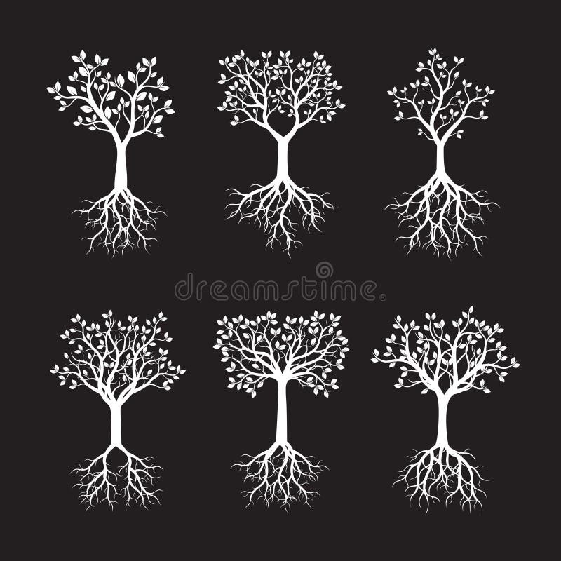 Set of White Trees with Roots. Vector Illustration. Stock Vector ...