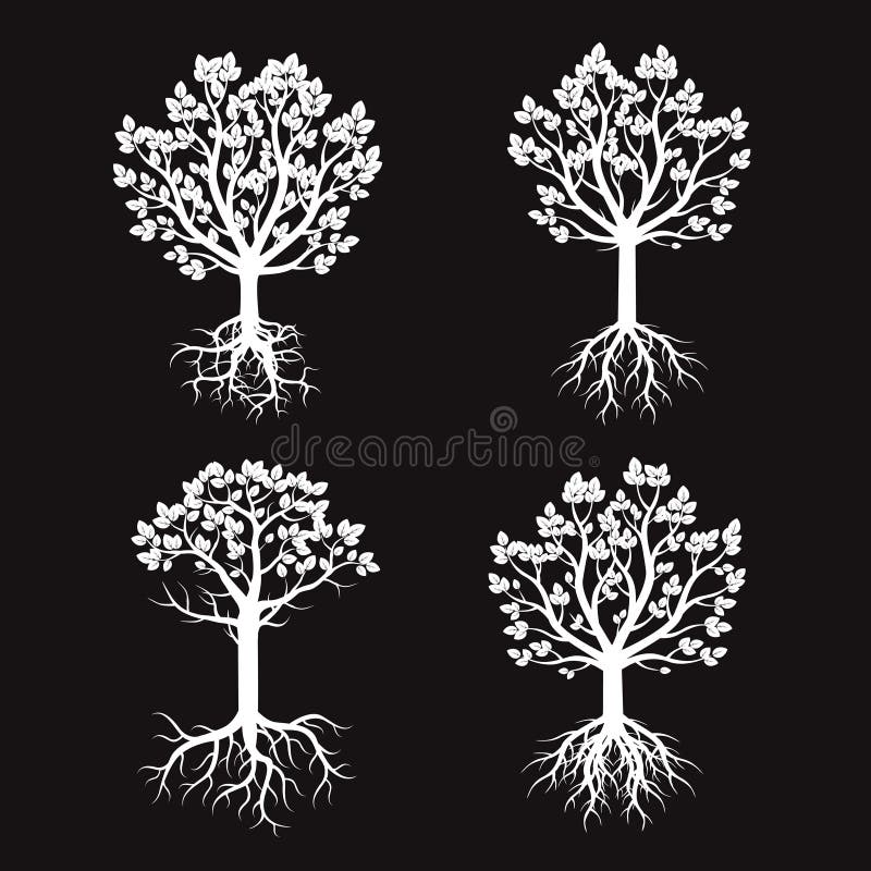 Set of White Trees and Roots. Vector Illustration. Stock Illustration ...