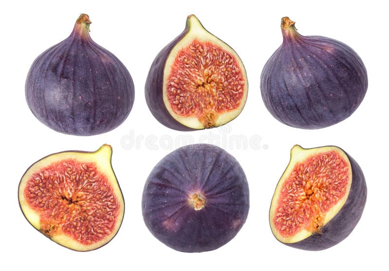 Set of Whole and Sliced Figs Isolated Stock Image - Image of fruit ...