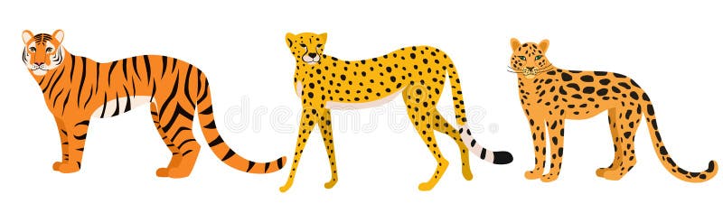 Set of Wild Cats: Tiger, Cheetah, Leopard. Vector Illustration Isolated ...
