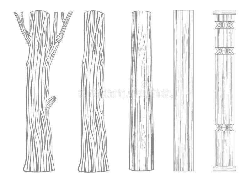 Set of Wooden Pillars Columns Tree Trunk Stock Vector - Illustration of ...