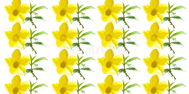 Set of Yellow Flowers on White Background. Texture and Pattern Stock ...
