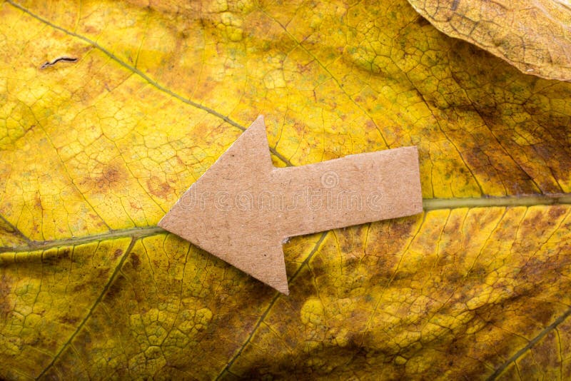 Seta Cortada Do Papel Marrom Imagem de Stock - Imagem de maneira, setas ...