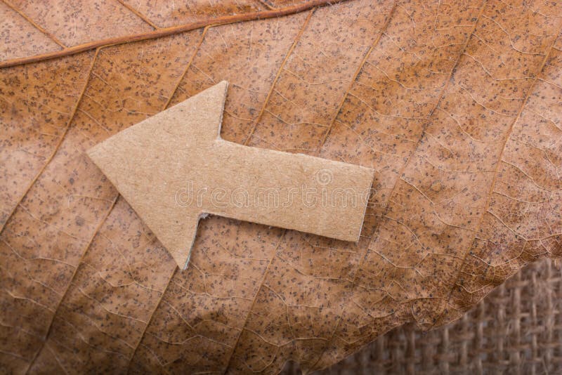 Seta Cortada Do Papel Marrom Na Folha Imagem de Stock - Imagem de ...