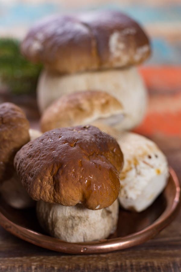 Seta Cruda Comestible Salvaje De Las Setas, Ingrediente Sabroso Para M ...