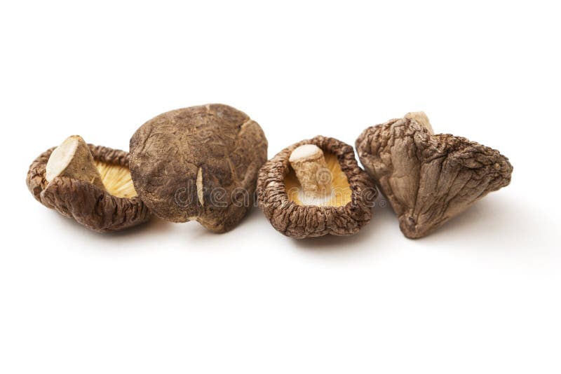 Seta de Shitake foto de archivo. Imagen de deshidratado - 29901266