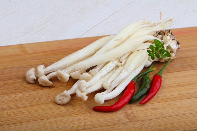 Seta japonesa - enoki foto de archivo. Imagen de salud - 111785892