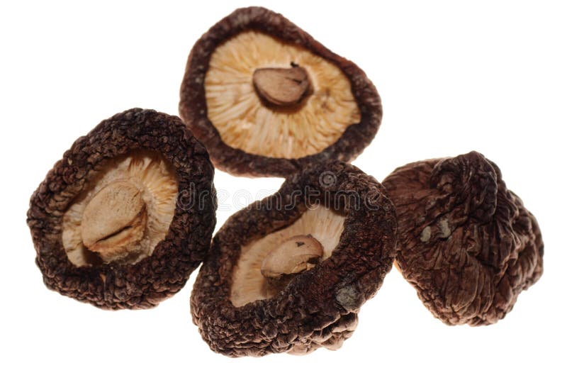 Seta negra imagen de archivo. Imagen de negro, delicadeza - 18217647