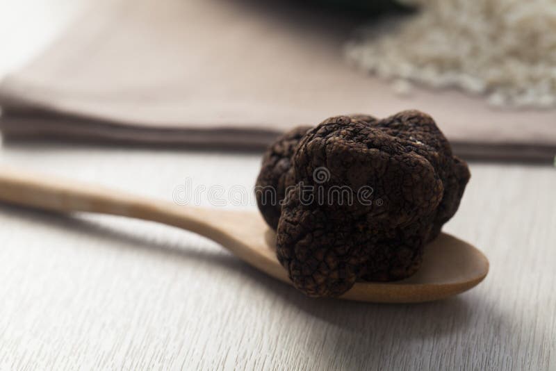 Seta Negra Rara Costosa De La Trufa Foto de archivo - Imagen de ...