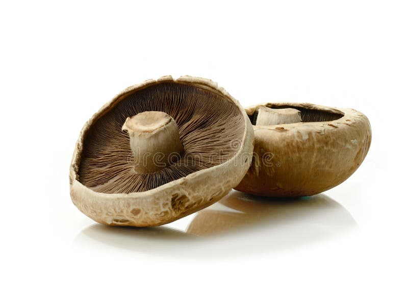 Setas de Portobello imagen de archivo. Imagen de abajo - 32766523