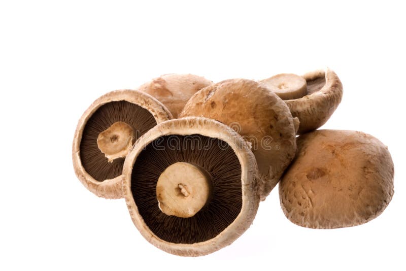 Setas De Portobello Aisladas Imagen de archivo - Imagen de bosque, cubo ...