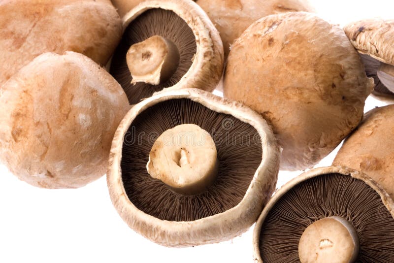 Setas Del Portobello Aisladas En El Fondo Blanco Foto de archivo ...