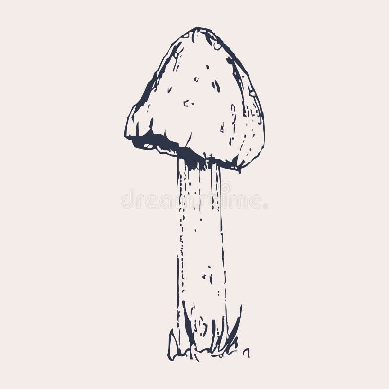 Setas dibujadas mano stock de ilustración. Ilustración de alimento ...