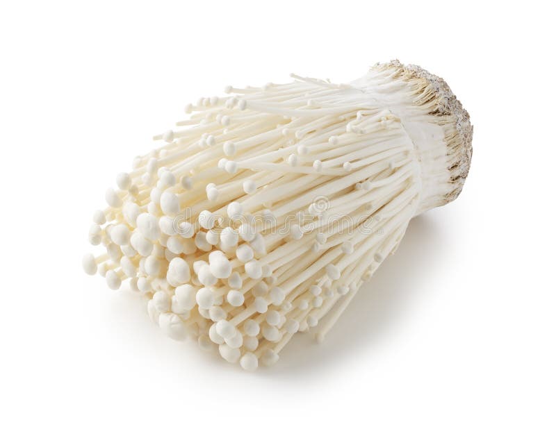 Hongos Enoki Sobre Fondo Blanco Imagen de archivo - Imagen de travieso ...