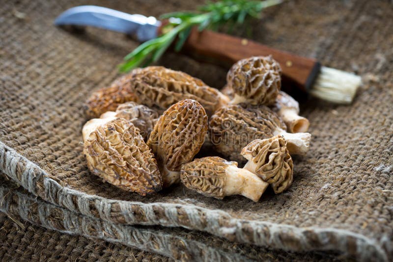 Setas Sin Procesar Frescas De Las Morillas Imagen de archivo - Imagen ...