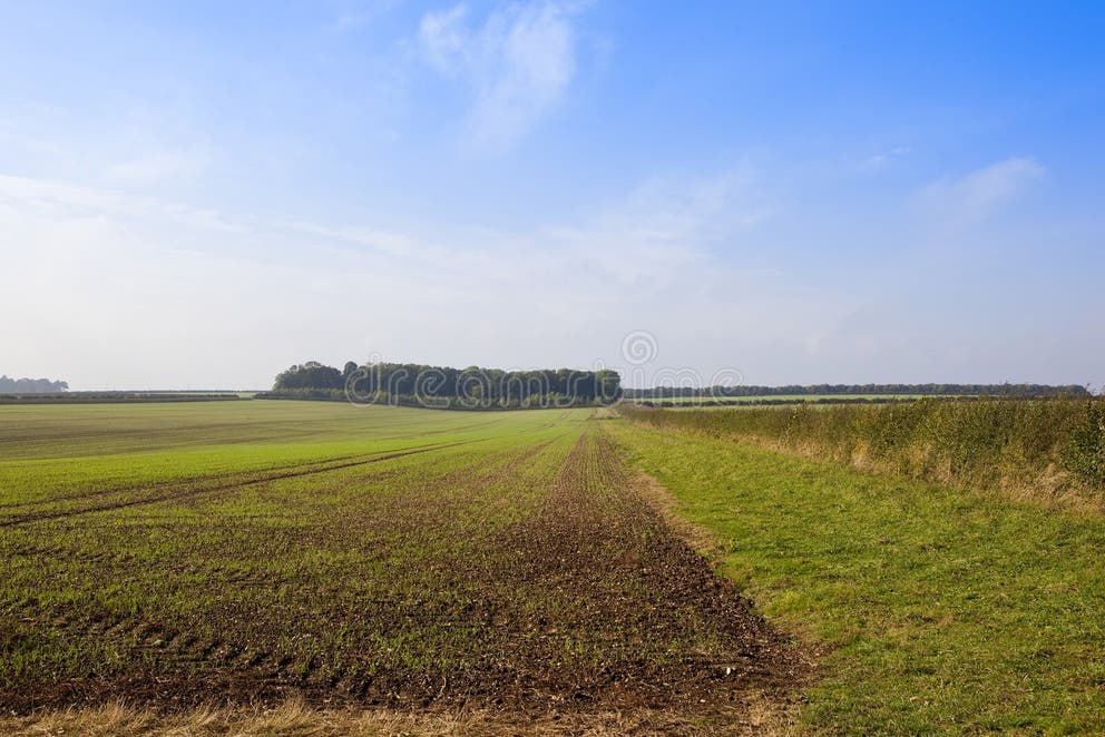 Seto y soto imagen de archivo. Imagen de yorkshire, farmland - 79248057