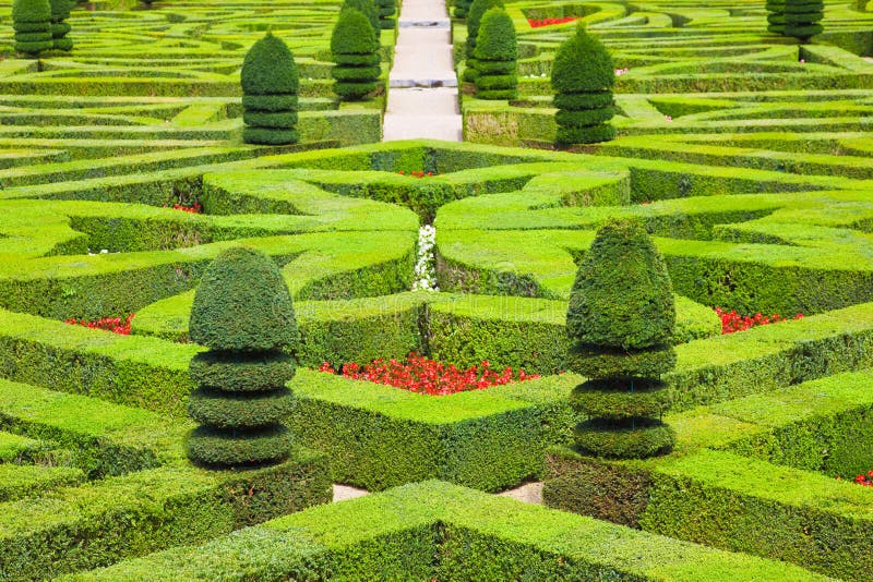 Setos geométricos imagen de archivo. Imagen de floral - 10678977