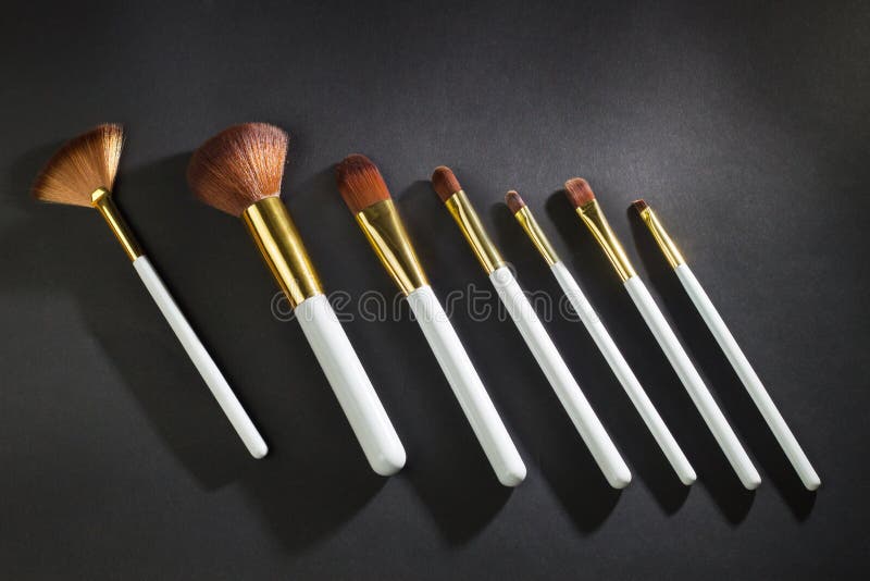 Sets Makeup Brush for Professional Makeup Stock Image - Image of ...