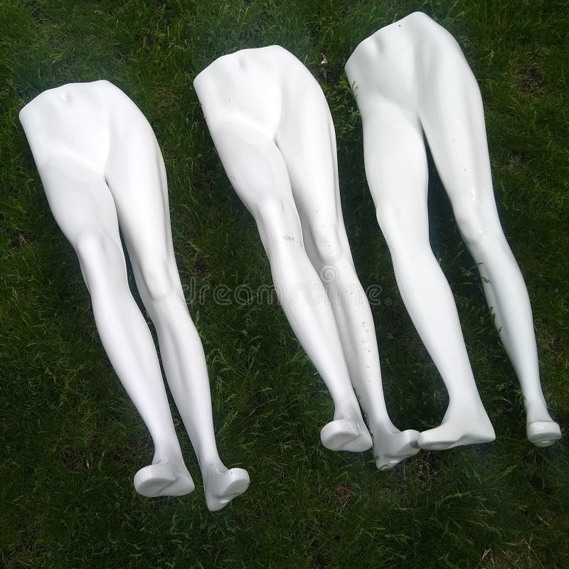 3 sets of mannequin legs stock photo. Image of legs - 329705664