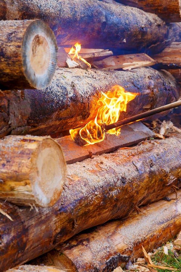 Setting Big Bonfire Made of Logs on Fire with Torch. Stock Image ...