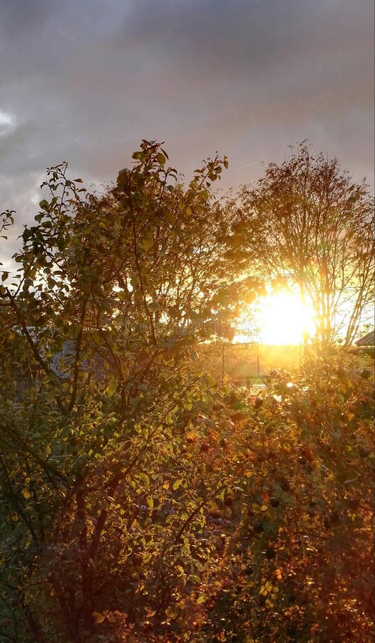 Sun setting in evening sea stock photo. Image of wallpaper - 104356180