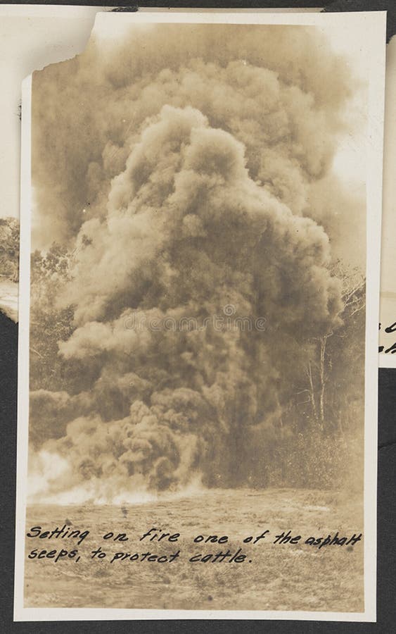 Setting On Fire One Of The Asphalt Seeps, To Protect Cattle. Picture ...