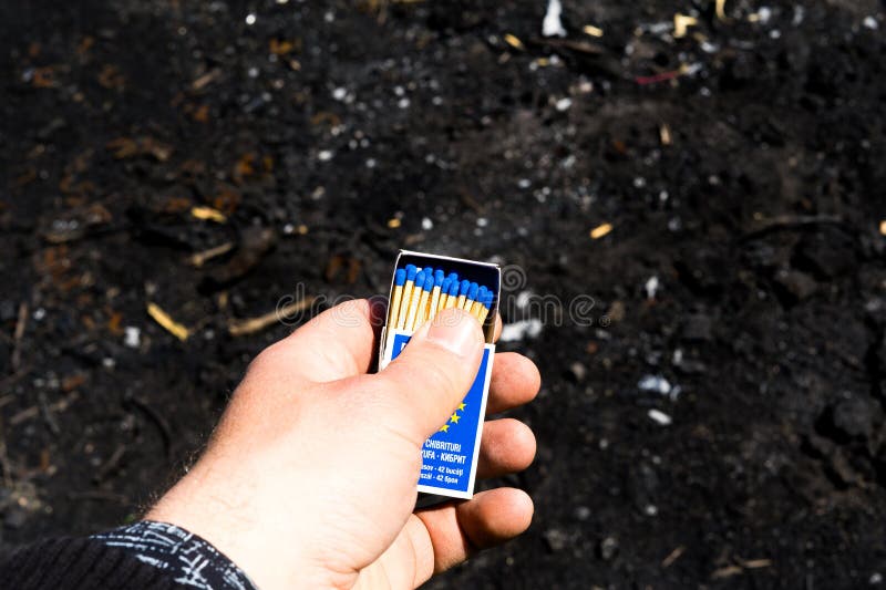 Setting Fire To a Picnic Fire . Burning Matches in Hands Stock Image ...