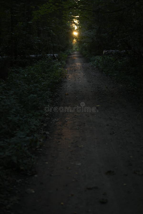 The Setting Ray of the Sun. Shadow and Bright Light Stock Photo - Image ...