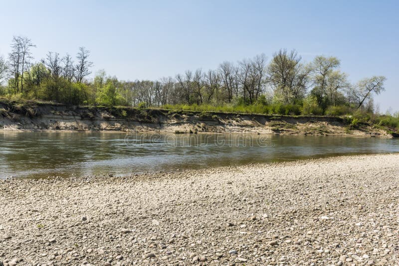 Setting the river stock photo. Image of willow, beach - 53253790