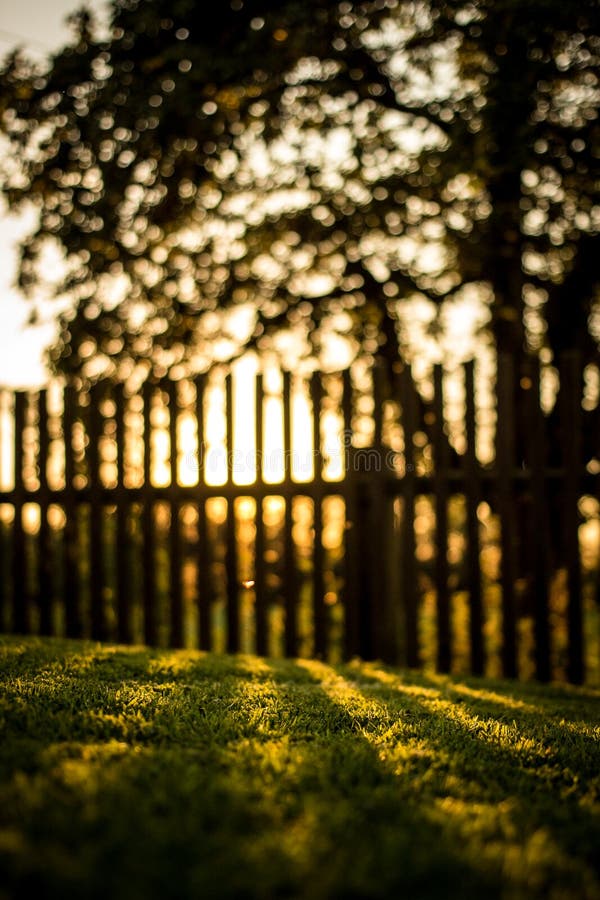 Setting sun behind a fence stock image. Image of setting - 140337425