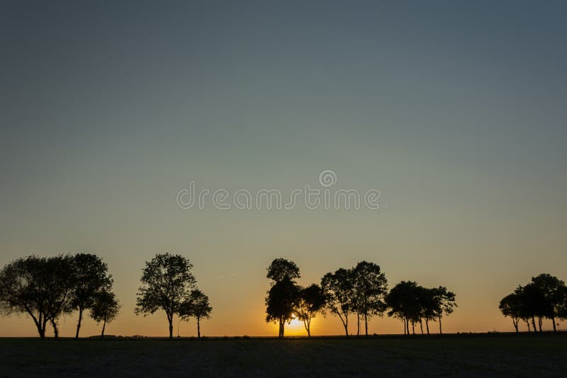 The Setting Sun Behind Trees on the Horizon and Cloudless Sky Stock ...