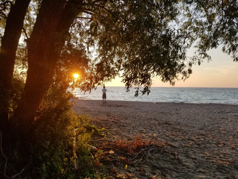 The Setting Sun Behind Trees Stock Image - Image of sunset, water ...