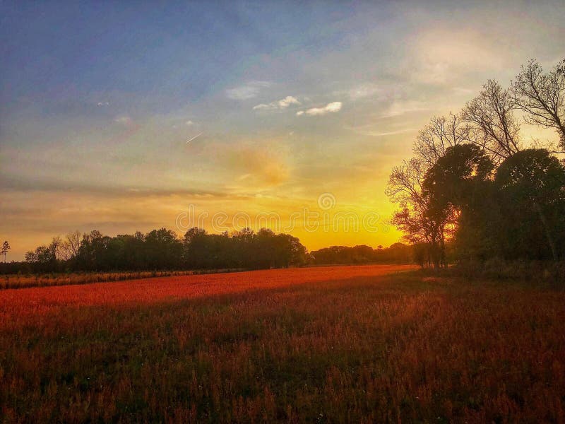 A Southern Sunset stock image. Image of last, setting - 343054399