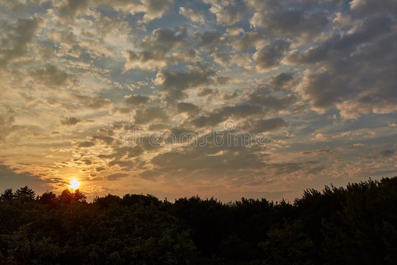 Sunset over distant trees stock photo. Image of horizon - 258661440