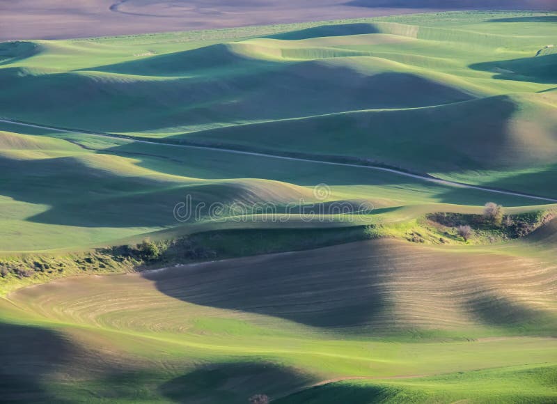 Setting Sun Creates Long Shadows on Rolling Hills Stock Photo - Image ...