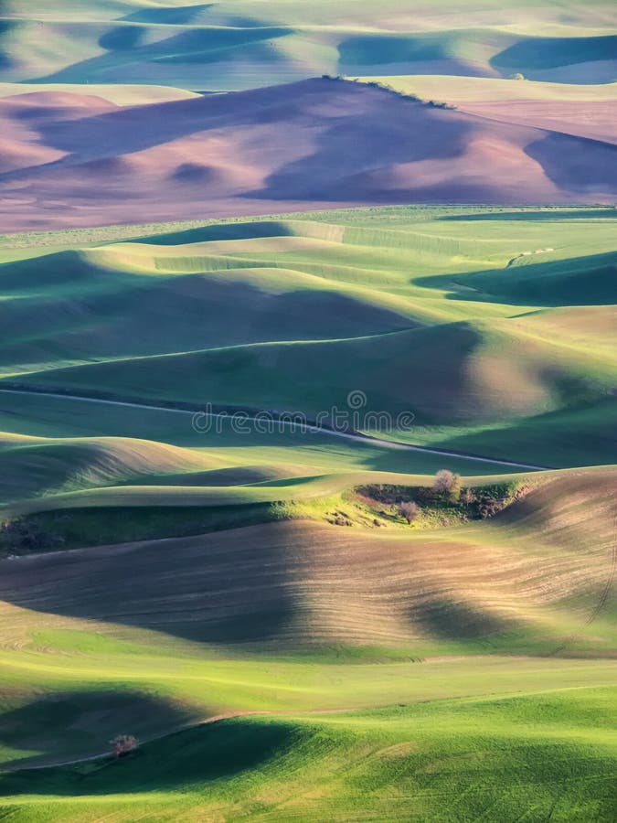Setting Sun Creates Long Shadows on Rolling Hills Stock Photo - Image ...