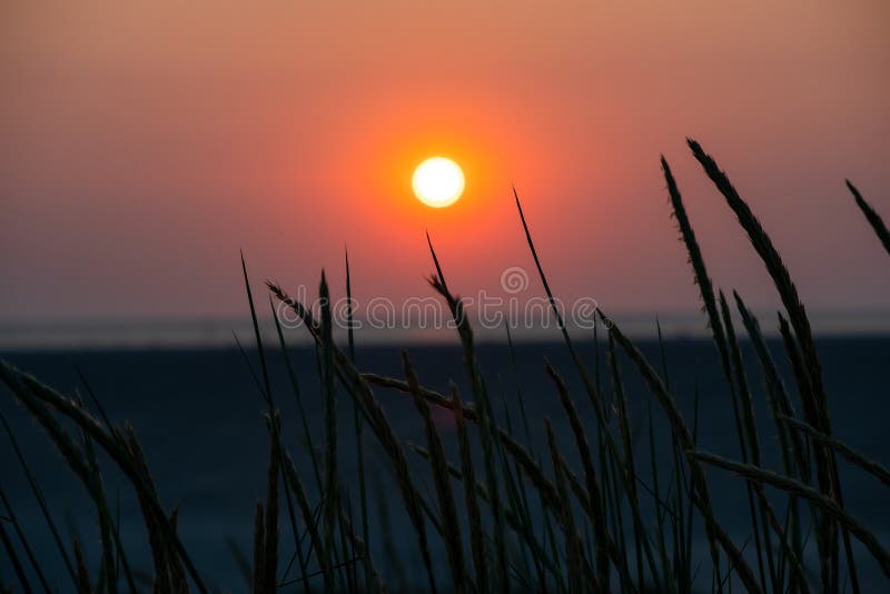 The Setting Sun in the Dunes of St. Peter Ording Stock Image - Image of ...