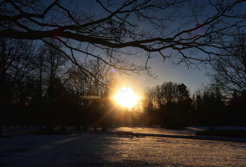 The Setting Sun on the Horizon among the Trees Stock Photo - Image of ...