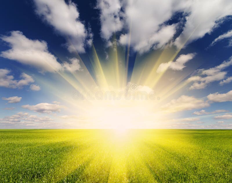 The Setting Sun on a Large Green Field Stock Photo - Image of bright ...