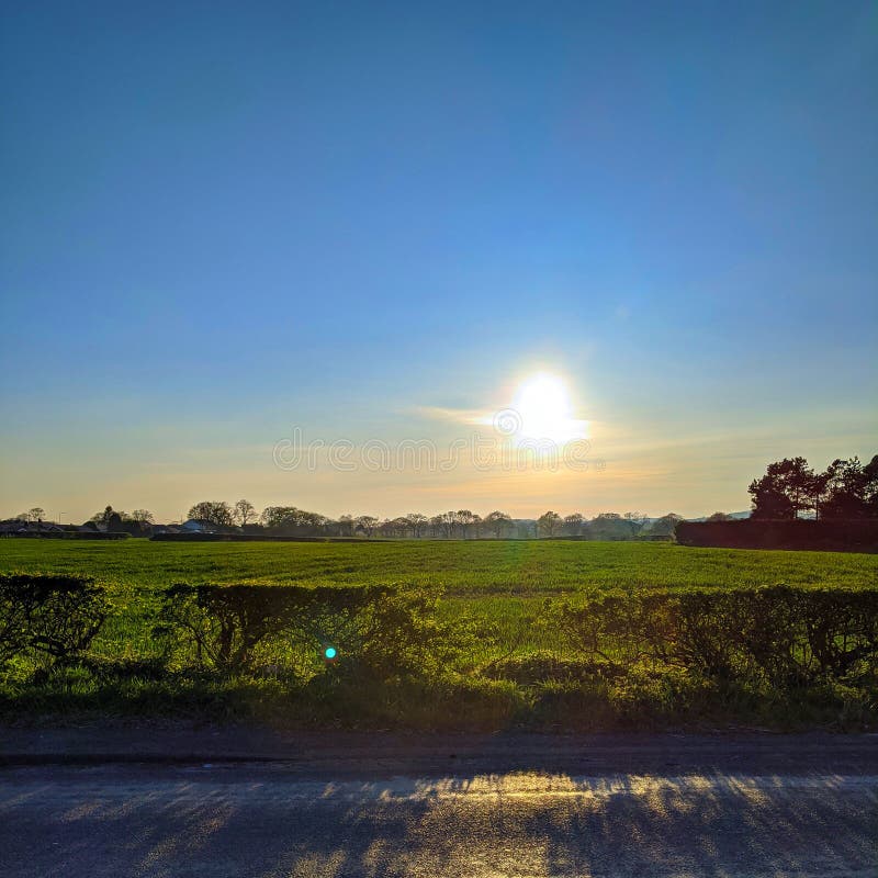 Setting sun over fields stock photo. Image of leaf, flare - 180646836