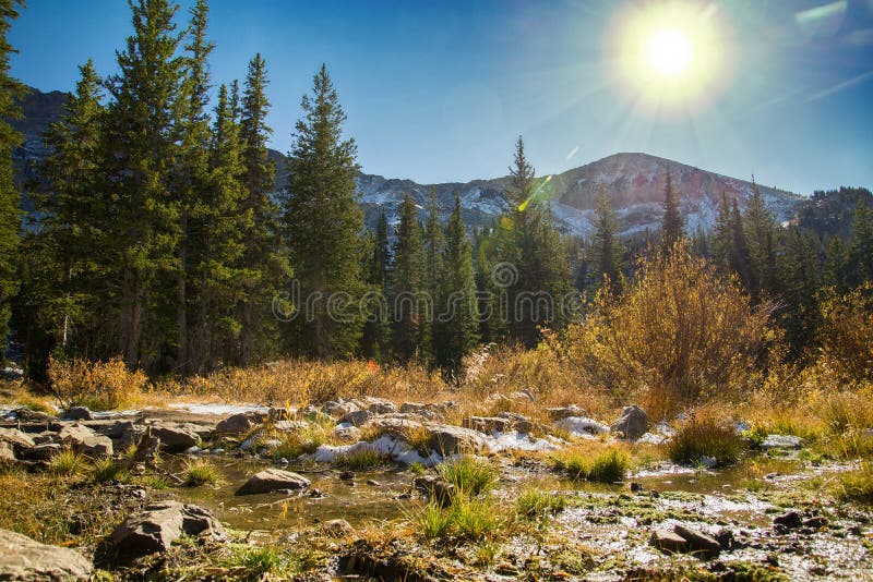 Setting Sun Over the Slow Stream Stock Image - Image of light, leaf ...