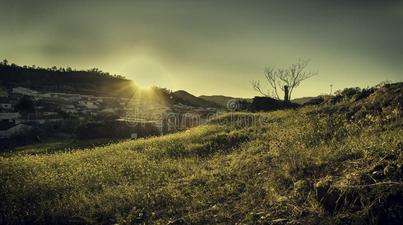 Setting Sun Over a Village and a Field Stock Photo - Image of leaf ...
