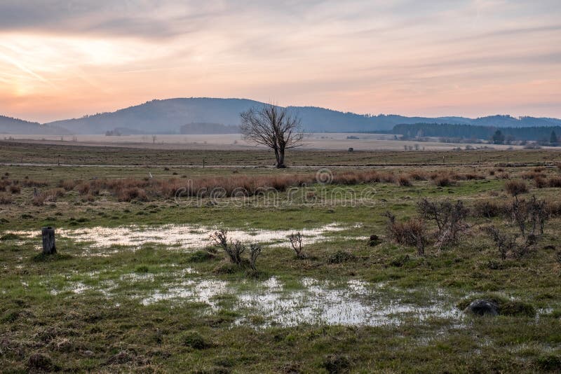 Setting Sun Over Wet Meadow Stock Photos - Free & Royalty-Free Stock ...