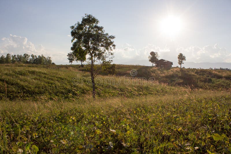 The setting sun in summer stock photo. Image of summer - 83301374