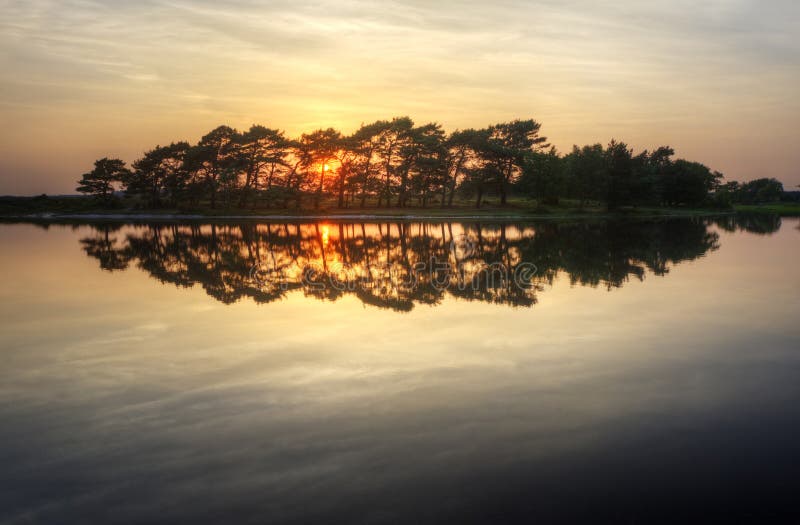 Setting Sun through Trees and Reflected in Lake Stock Photo - Image of ...