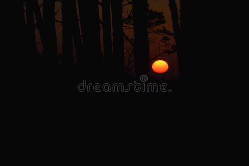 Setting sun and trees stock image. Image of orange, season - 140050187