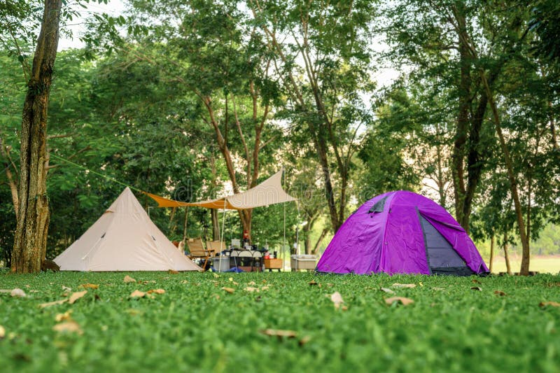 Setting Up a Camping Tent in the Midst of Green Nature Garden. Focus on ...