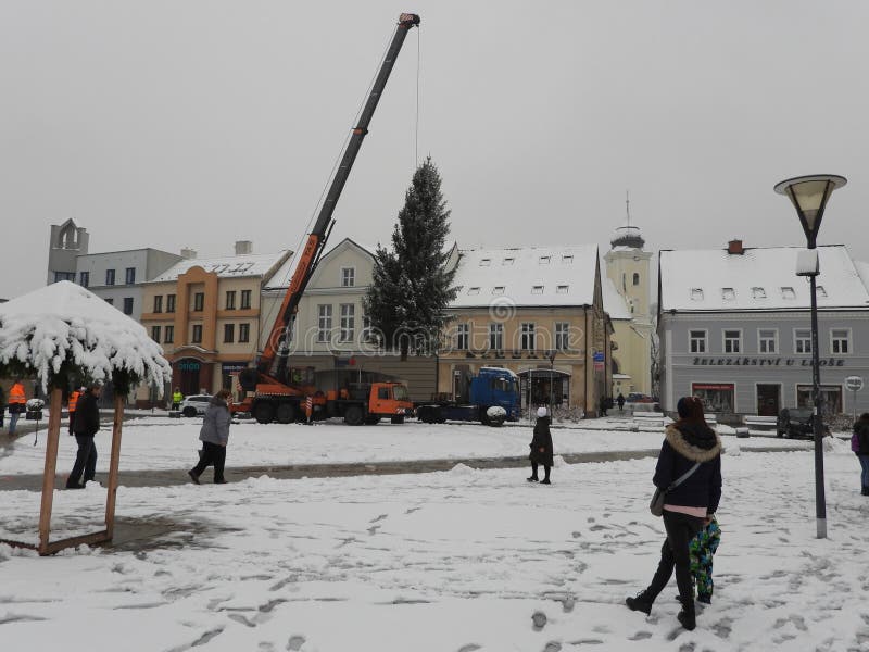 Setting Up the Christmas Tree on the Square Editorial Image - Image of ...