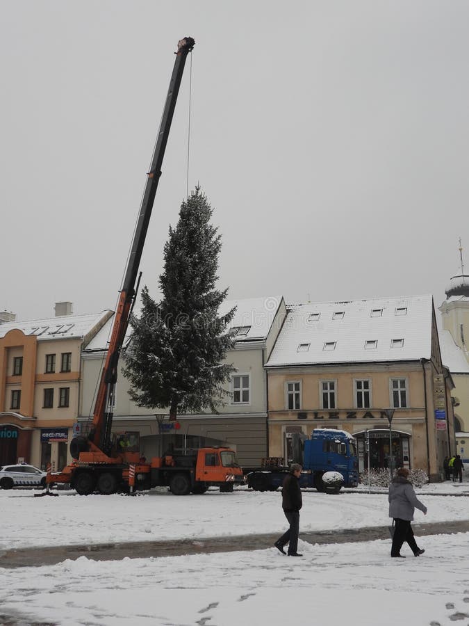 Setting Up the Christmas Tree on the Square Editorial Stock Photo ...