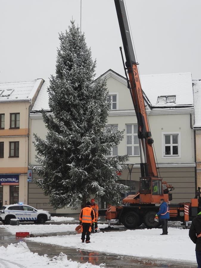 Setting Up the Christmas Tree on the Square Editorial Photo - Image of ...